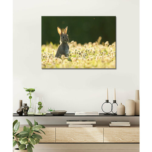 Картина - Заяц, зайцы, зайчонок, зайка, ушастый заяц, пушистый заяц, заяц с цветами, заяц в поле (11) 30х40