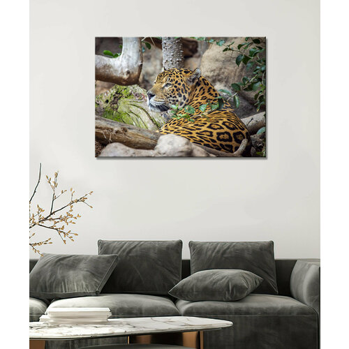 Картина/Ягур/Ягуар в джунглях/Ягуар на дереве/Черный ягуар/ - Ягуар (20) 60х80