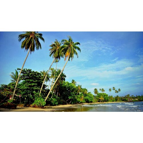 Картина на холсте 60x110 Альянс Лес "Природа пальмы волны море пляж" на подрамнике / интерьер/ декор