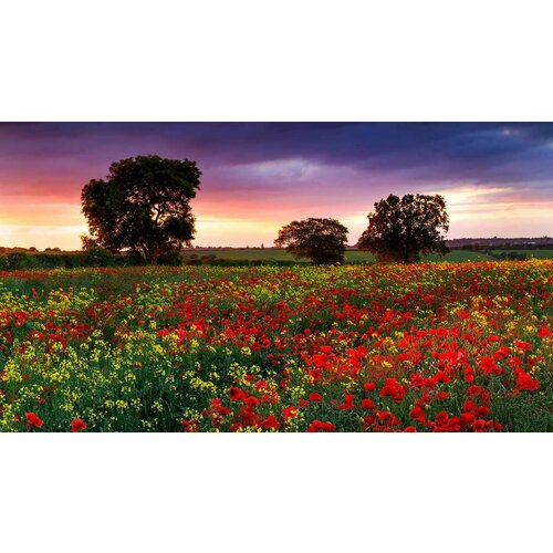 Картина на холсте 60x110 Альянс Лес "Природа рапс Англия цветы" на подрамнике / интерьер/ декор