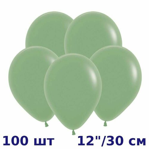 Воздушный шар (100шт, 30см) Эвкалипт, Пастель / Eucalyptus, SEMPERTEX S.A, Колумбия
