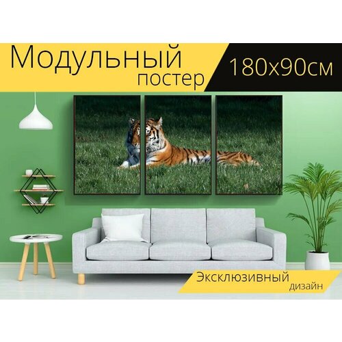Модульный постер "Спящий тигр, амурский тигр, тигр" 180 x 90 см. для интерьера