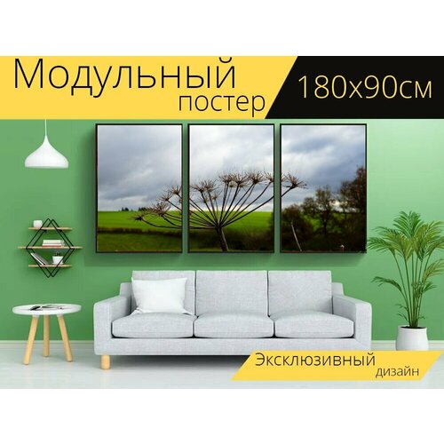 Модульный постер "Борщевик, завод, зонтик" 180 x 90 см. для интерьера