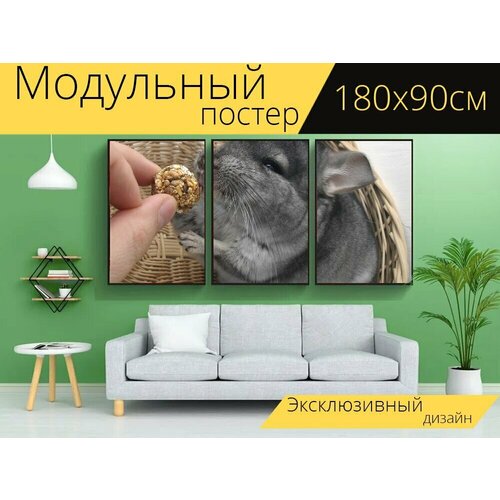 Модульный постер "Шиншиллы, грызун, домашнее животное" 180 x 90 см. для интерьера