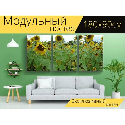 Модульный постер "Подсолнечник, высокий, желтый" 180 x 90 см. для интерьера