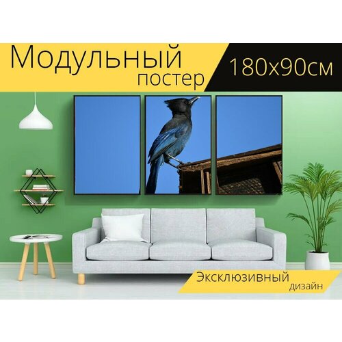 Модульный постер "Сойка стеллера, дикая птица, птица" 180 x 90 см. для интерьера