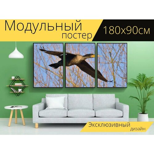 Модульный постер "Баклан, водоплавающая птица, птица" 180 x 90 см. для интерьера