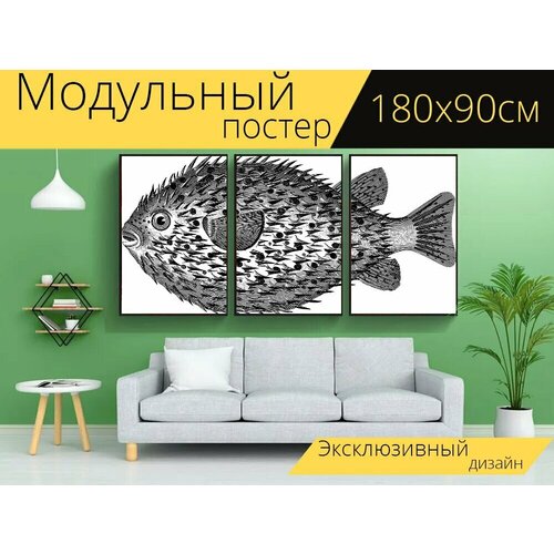 Модульный постер "Рыбы, весы, плавники" 180 x 90 см. для интерьера