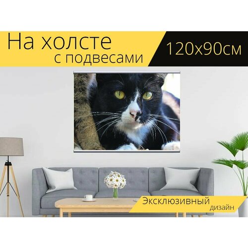 Картина на холсте "Черный кот, кошка, кошачий" с подвесами 120х90 см. для интерьера