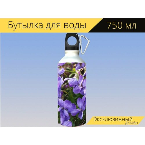 Бутылка фляга для воды "Ароматные фиалки, фиолетовый, цветок" 750 мл. с карабином и принтом