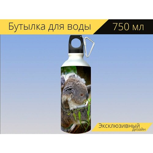 Бутылка фляга для воды "Коалы, животные, дикая природа" 750 мл. с карабином и принтом