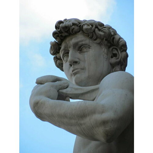 Плакат, постер на холсте David/Давид-статуя Микеланджело/искусство/арт/абстракция/творчество. Размер 60 на 84 см