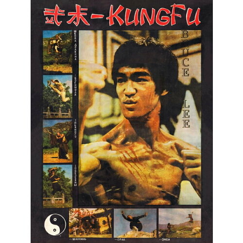 Плакат, постер на бумаге Bruce Lee-Kung Fu/Брюс-Ли/винтажный/ретро. Размер 60 х 84 см