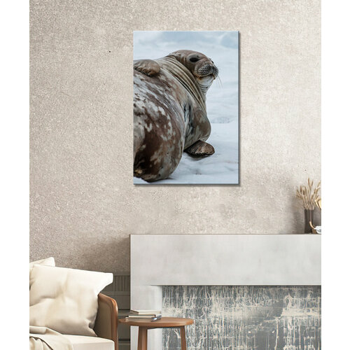Картина - Морж, морж в воде, моржик (2) 20х30