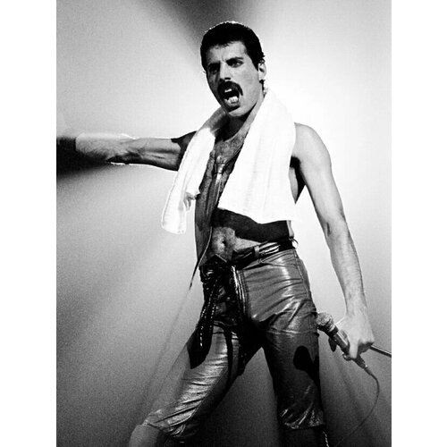 Плакат, постер на холсте Freddie Mercury/Фредди Меркьюри/винтажный/ретро. Размер 42 х 60 см