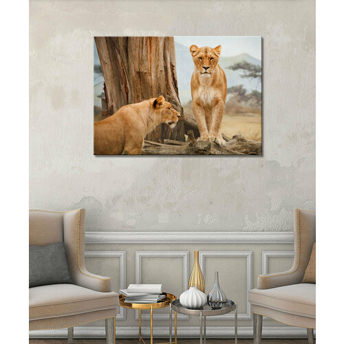 Картина - Лев, львица, две львицы, красивые львицы, дикие львицы (69) 30х40