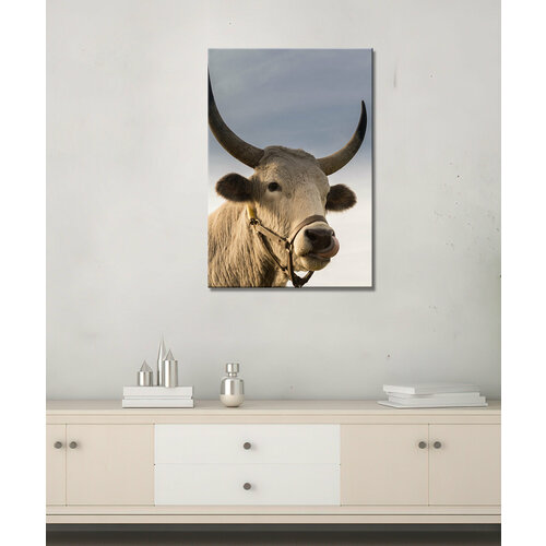 Картина -Бык, рогатый бык, белый бык (1) 20х30