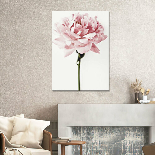 Картина на холсте на стену/постер/интерьерная картина Розовый цветок на белом фоне 60х80