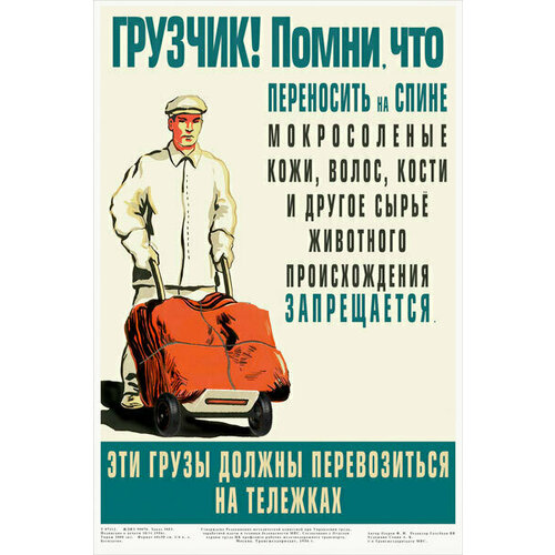 Плакат, постер на холсте СССР/ Грузчик Помни, что переносить на спине мокросоленые кожи, волос, кости и другое сырье животного. Размер 42 на 60 см