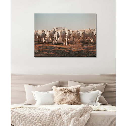 Картина -Корова, пастбище, корова пасется, корова на пастбище, бык (26) 30х40