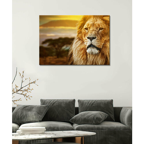 Картина - Лев, лев царь зверей, красивый лев, грива льва, лев и пейзаж (30) 40х60