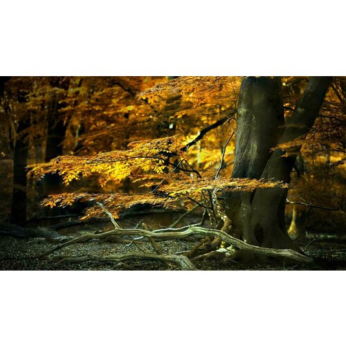 Картина на холсте 60x110 Альянс Лес "Осень природа лес" на подрамнике / интерьер/ декор