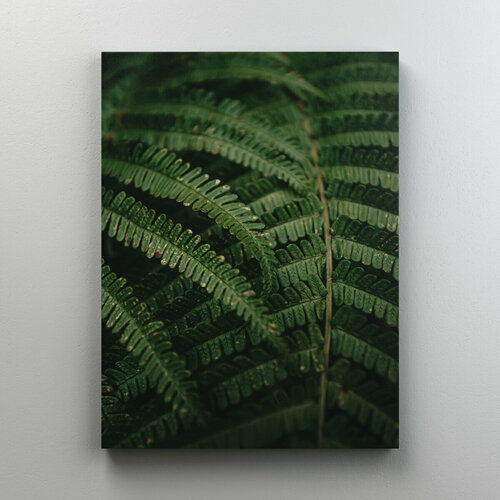 Интерьерная картина на холсте "Зеленые листья папоротника" растения, размер 22x30 см