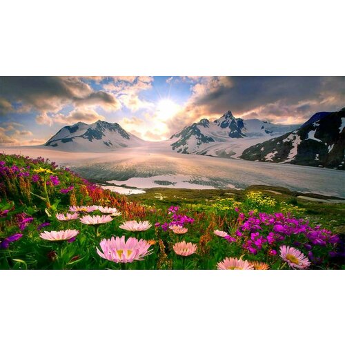 Картина на холсте 60x110 Альянс Лес "Цветы снег горы" на подрамнике / интерьер/ декор