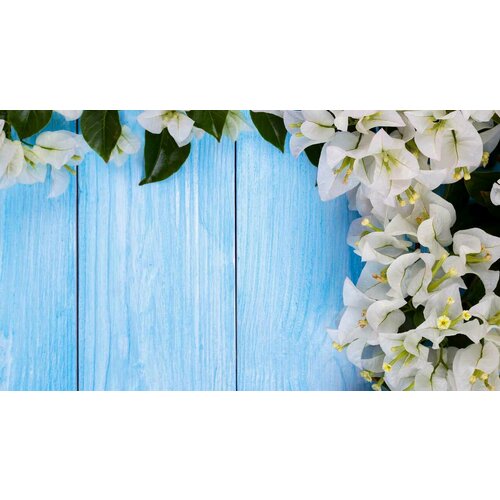 Картина на холсте 60x110 LinxOne "Цветы белые весна white" интерьерная для дома / на стену / на кухню / с подрамником