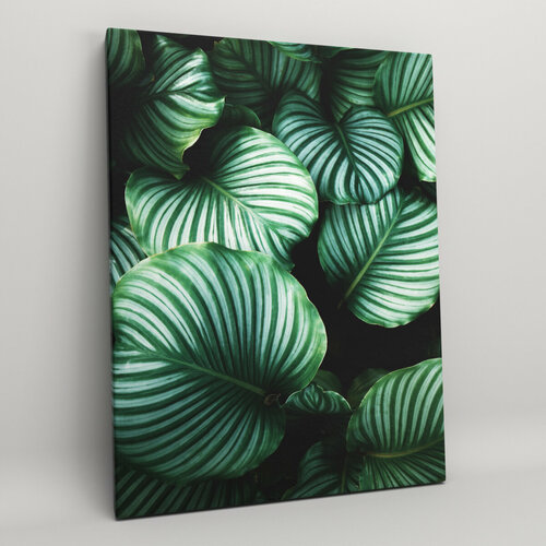 Картина на холсте (интерьерный постер) "Растения в джунглях" в скандинавском стиле, с деревянным подрамником, размер 30x40 см