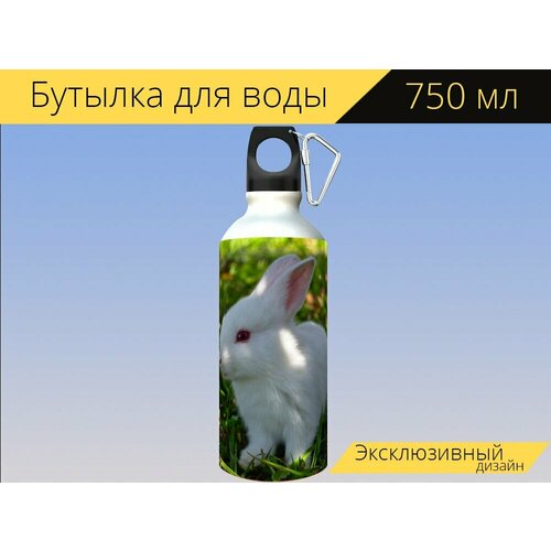 Бутылка фляга для воды "Кролик, трава, милый" 750 мл. с карабином и принтом