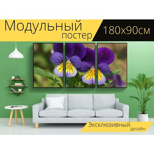 Модульный постер "Маленькие анютины глазки, фиолетовый, желтый" 180 x 90 см. для интерьера