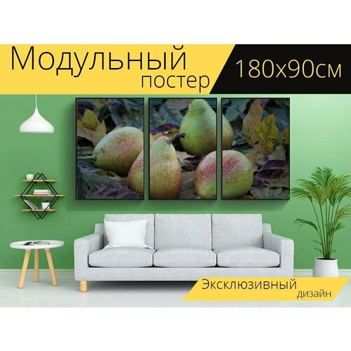 Модульный постер "Груши, листья, фрукты" 180 x 90 см. для интерьера