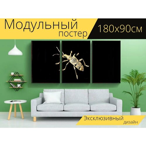 Модульный постер "Жук, насекомое, макрос" 180 x 90 см. для интерьера