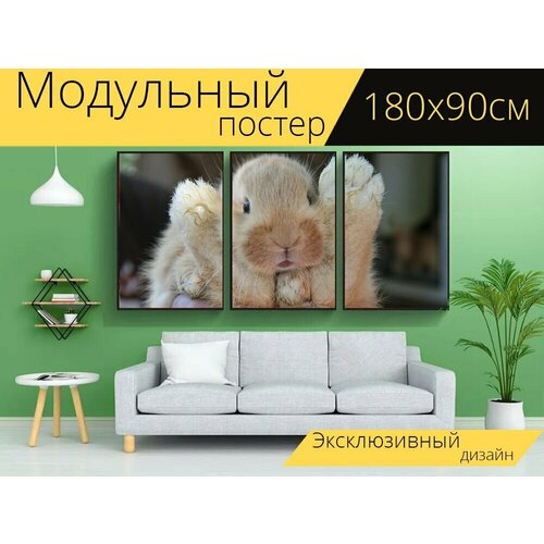 Модульный постер "Кролик, детка, волосы" 180 x 90 см. для интерьера