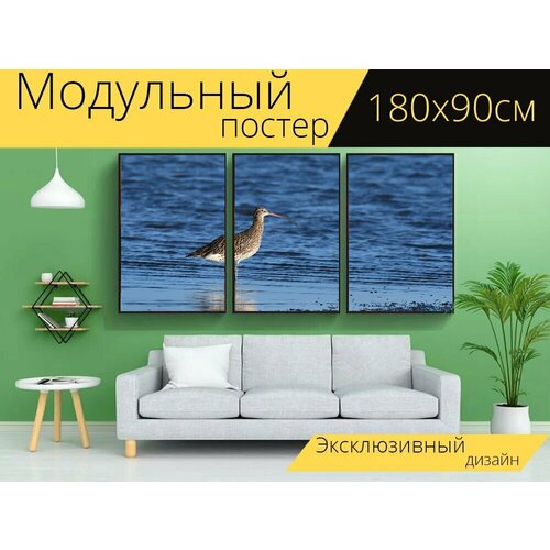 Модульный постер "Кроншнеп, птица, море" 180 x 90 см. для интерьера
