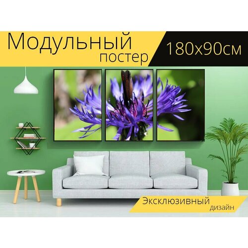 Модульный постер "Дикий, природа, цветок лайла" 180 x 90 см. для интерьера