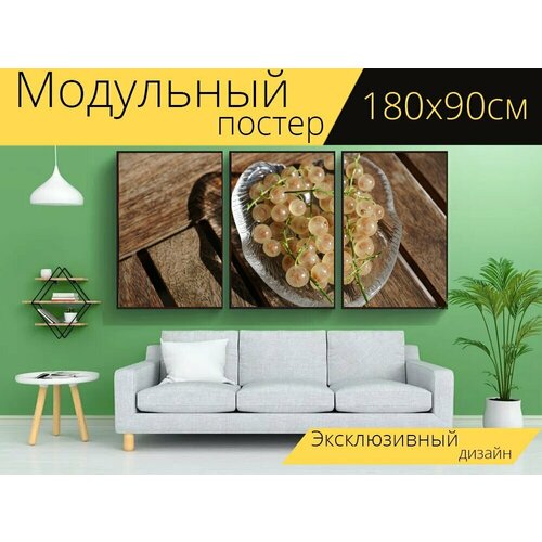 Модульный постер "Смородина, фрукты, тарелка" 180 x 90 см. для интерьера