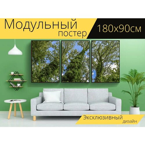 Модульный постер "Деревья, лес, плющ" 180 x 90 см. для интерьера