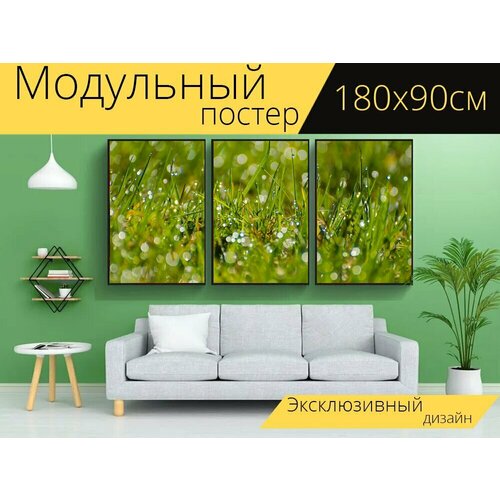 Модульный постер "Трава, травяной, стебли" 180 x 90 см. для интерьера