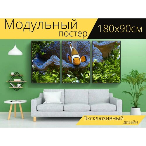 Модульный постер "Рыбаклоун, анемон, рыбы" 180 x 90 см. для интерьера