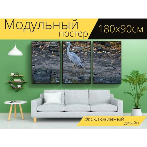Модульный постер "Серая цапля, цапля, птица" 180 x 90 см. для интерьера