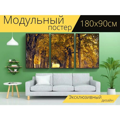 Модульный постер "Проспект, ряд деревьев, дуб" 180 x 90 см. для интерьера