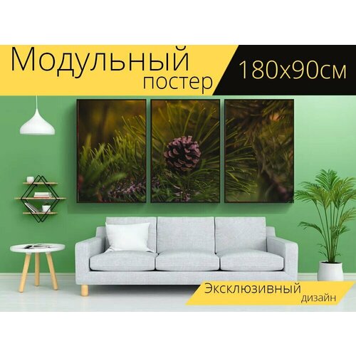 Модульный постер "Еловая шишка, шишка, желудь" 180 x 90 см. для интерьера