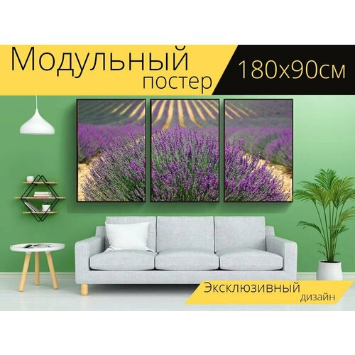 Модульный постер "Лаванды, цветы, поле" 180 x 90 см. для интерьера
