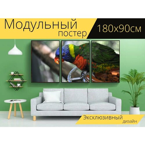 Модульный постер "Птица, попугай, клин хвост лори" 180 x 90 см. для интерьера