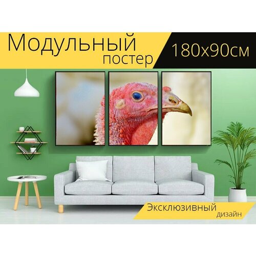 Модульный постер "Индюков, птицы, глаз" 180 x 90 см. для интерьера