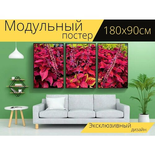 Модульный постер "Красный колеус растения, сад, ботаника" 180 x 90 см. для интерьера
