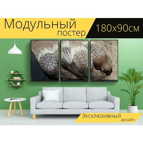 Модульный постер "Животные, дикобраз" 180 x 90 см. для интерьера
