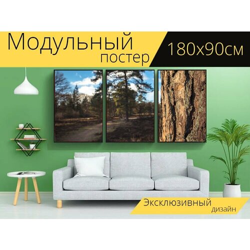 Модульный постер "Природа, дерево, древесина" 180 x 90 см. для интерьера